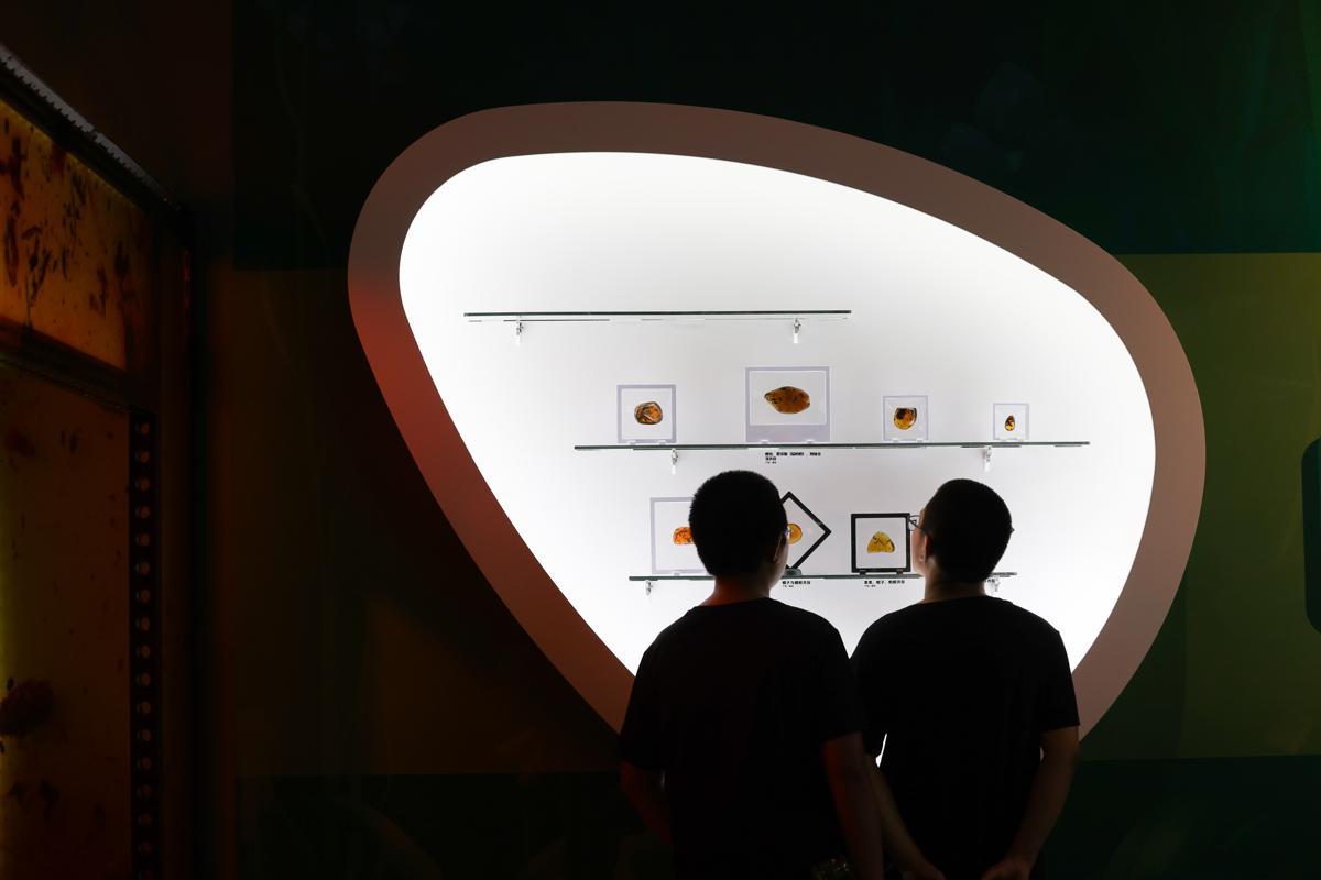 Hebei Museum showcases unique amber exhibit