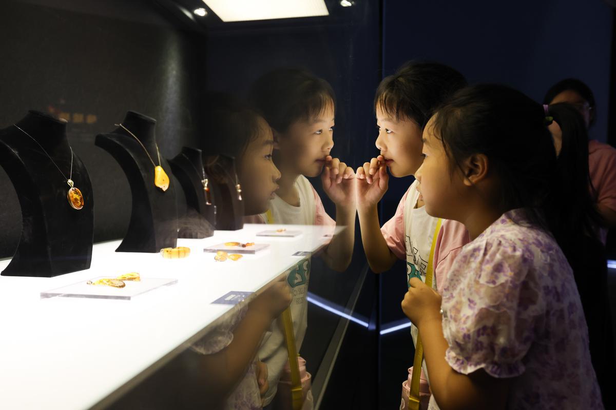 Hebei Museum showcases unique amber exhibit