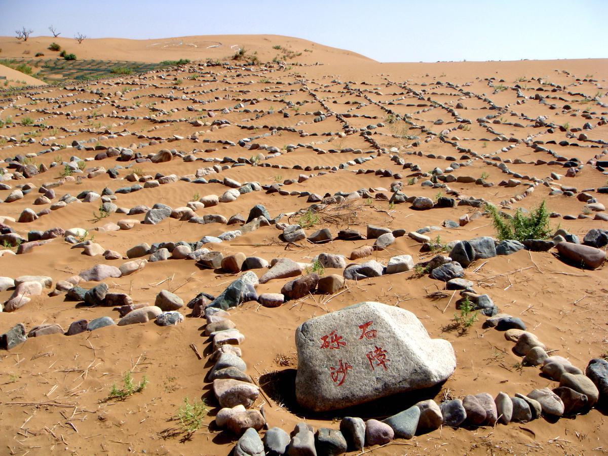 Minqin county innovates reforestation of desert